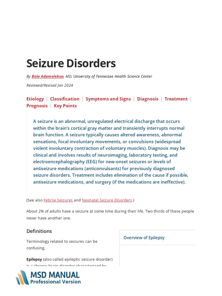 Understanding Epilepsy and Seizure Disorders | PDF | Epilepsy ...