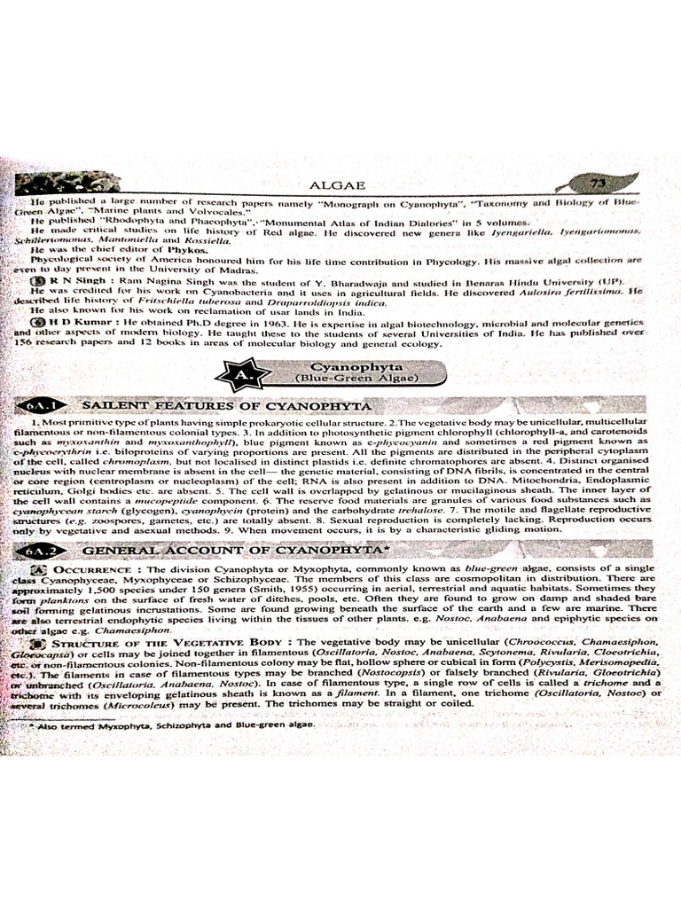 Algae Topic Wise | PDF