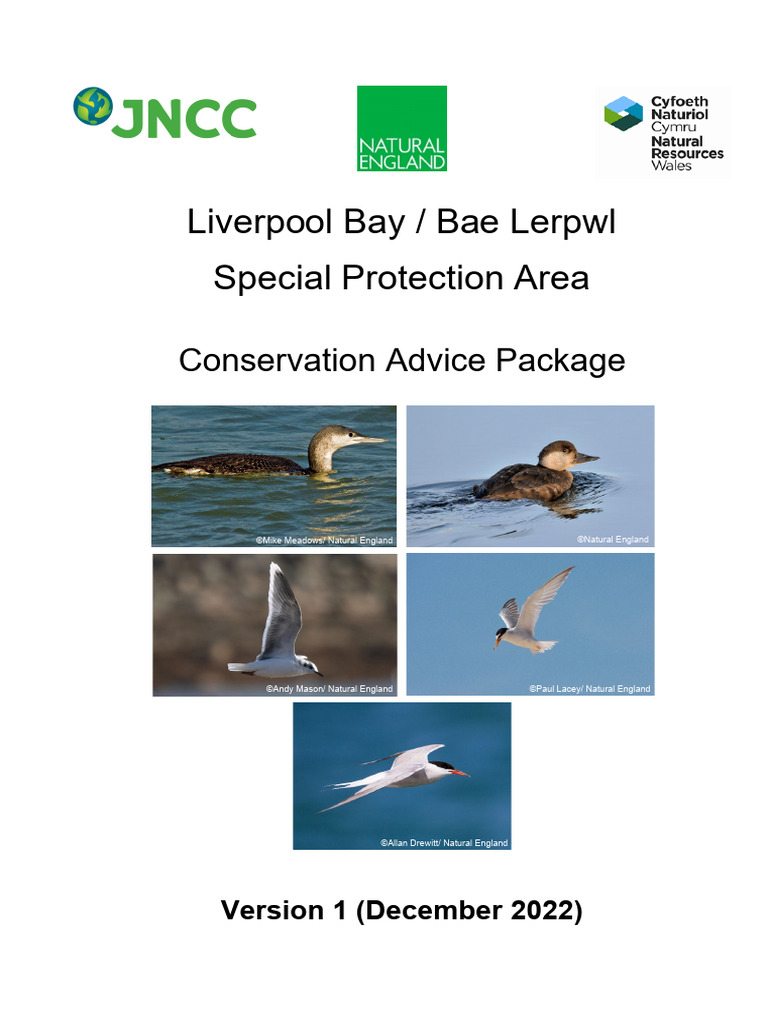 JP046 Edition 4 Liverpool Bay Bae Lerpwl SPA Conservation Advice Package | PDF | Conservation ...