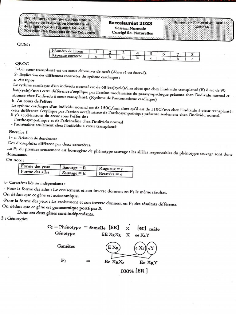 Correction SN Bac 2023 | PDF