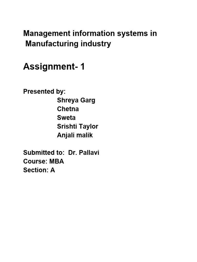 MIS Assignment | PDF | Ip Address | Computer Network