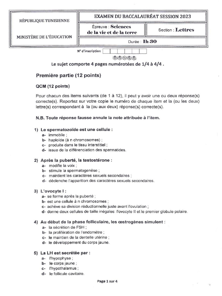 SVT | PDF