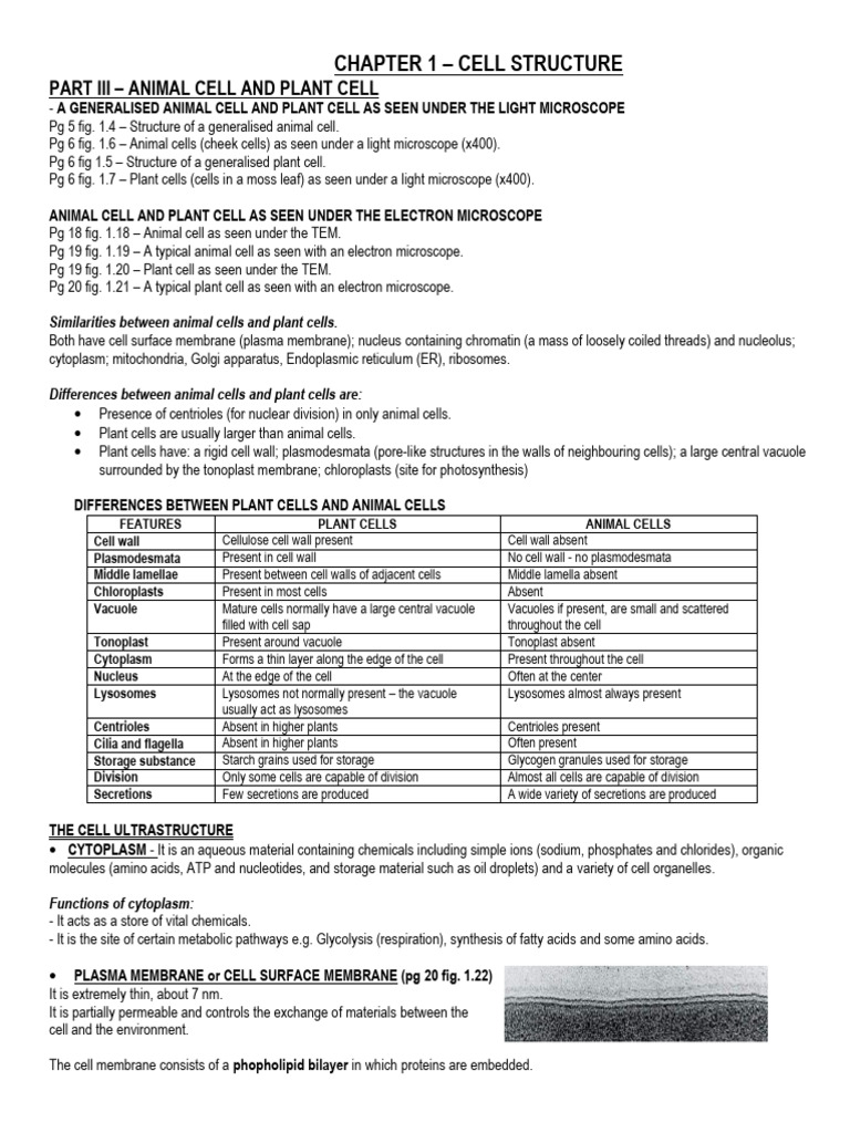 Chapter 1 - Cell Structure: Part Iii - Animal Cell and Plant Cell | PDF ...