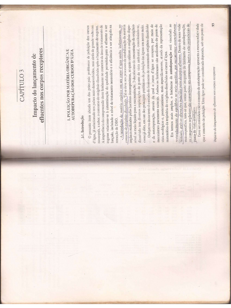 Von Sperling Cap3 | PDF