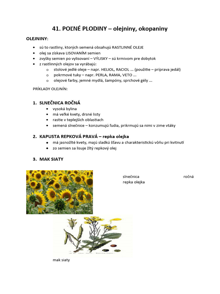 Poľné Plodiny - Olejniny, Okopaniny | PDF