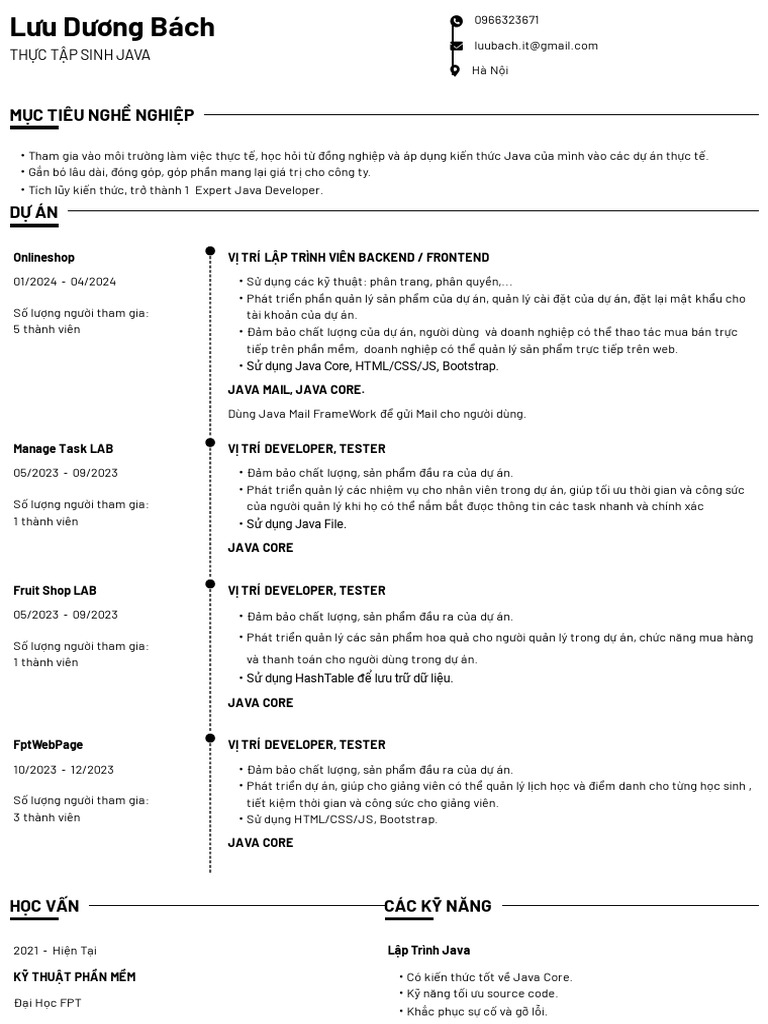 Luu Duong Bach CV New | PDF
