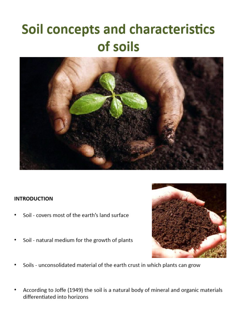 Soil Concepts | PDF | Soil | Organic Matter