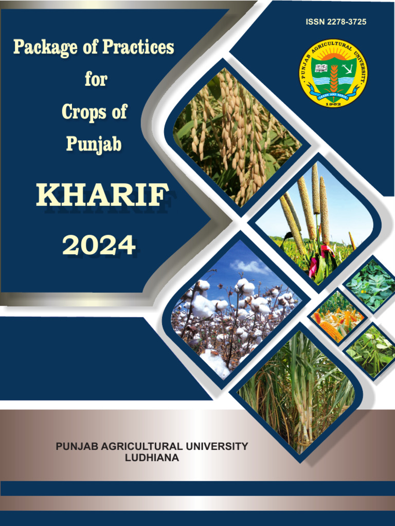 pp_kharif 2024 | PDF | Rice | Fertilizer