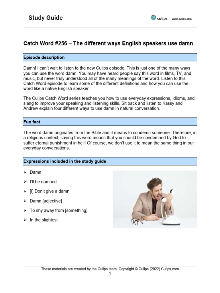 CW256 The Different Ways English Speakers Use Damn | Download Free PDF ...