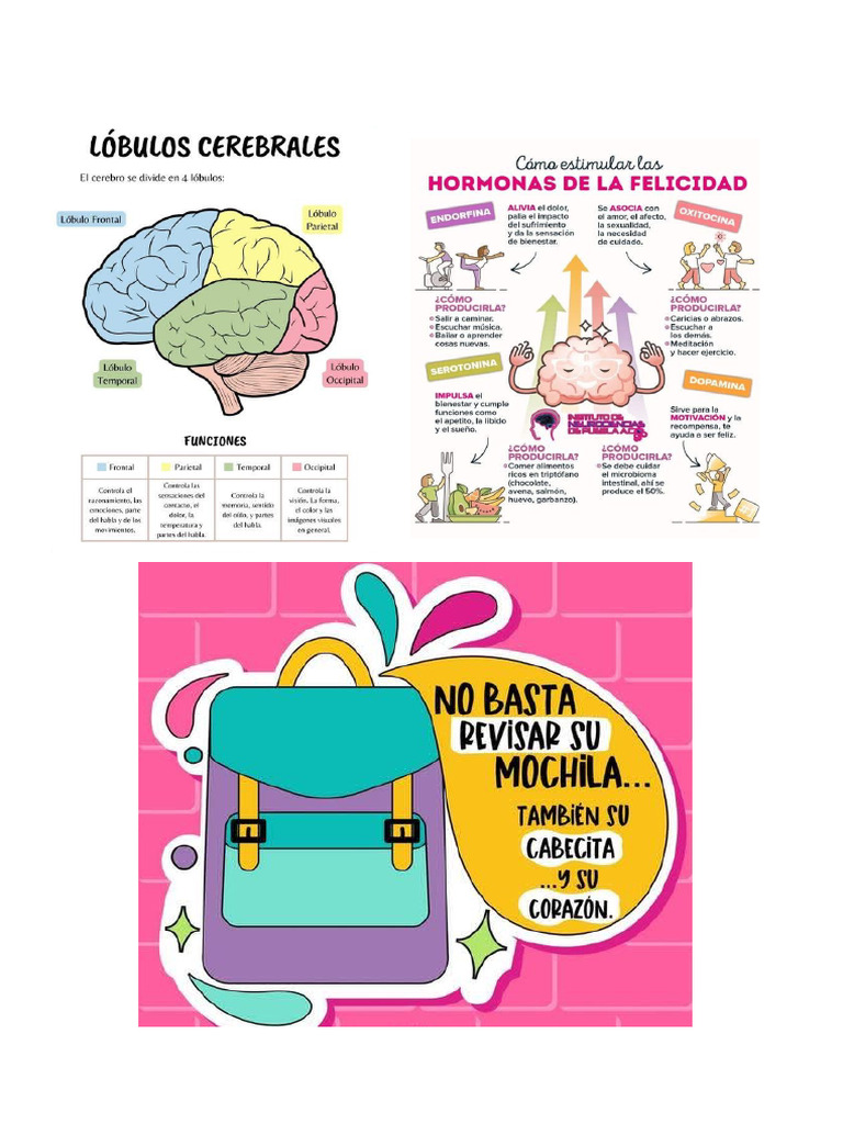 Frases para Folder y Cuaderno | PDF