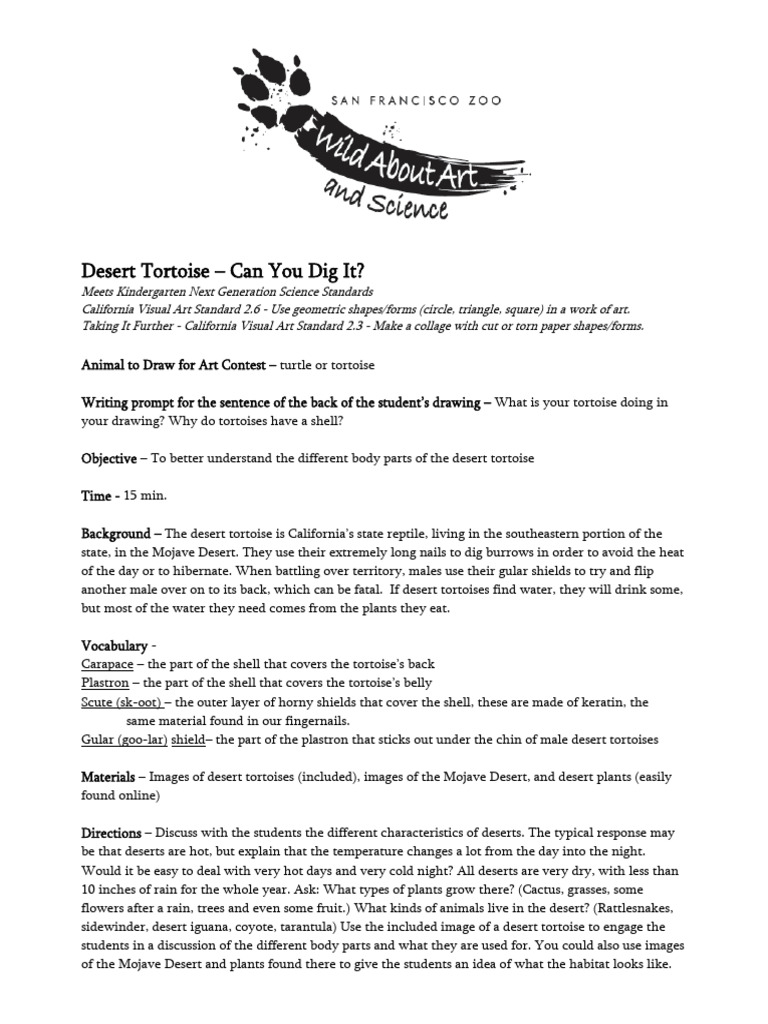 Desert Tortoise Art & Science Lesson | PDF | Reptile