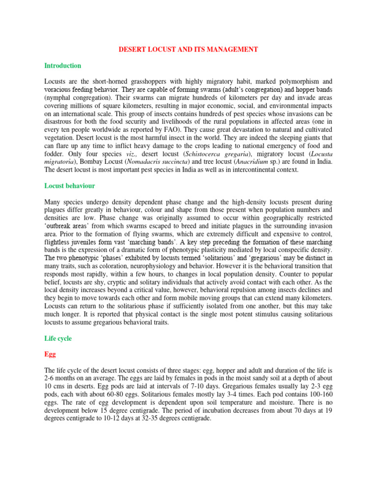 Locust Write Up New | PDF | Insects