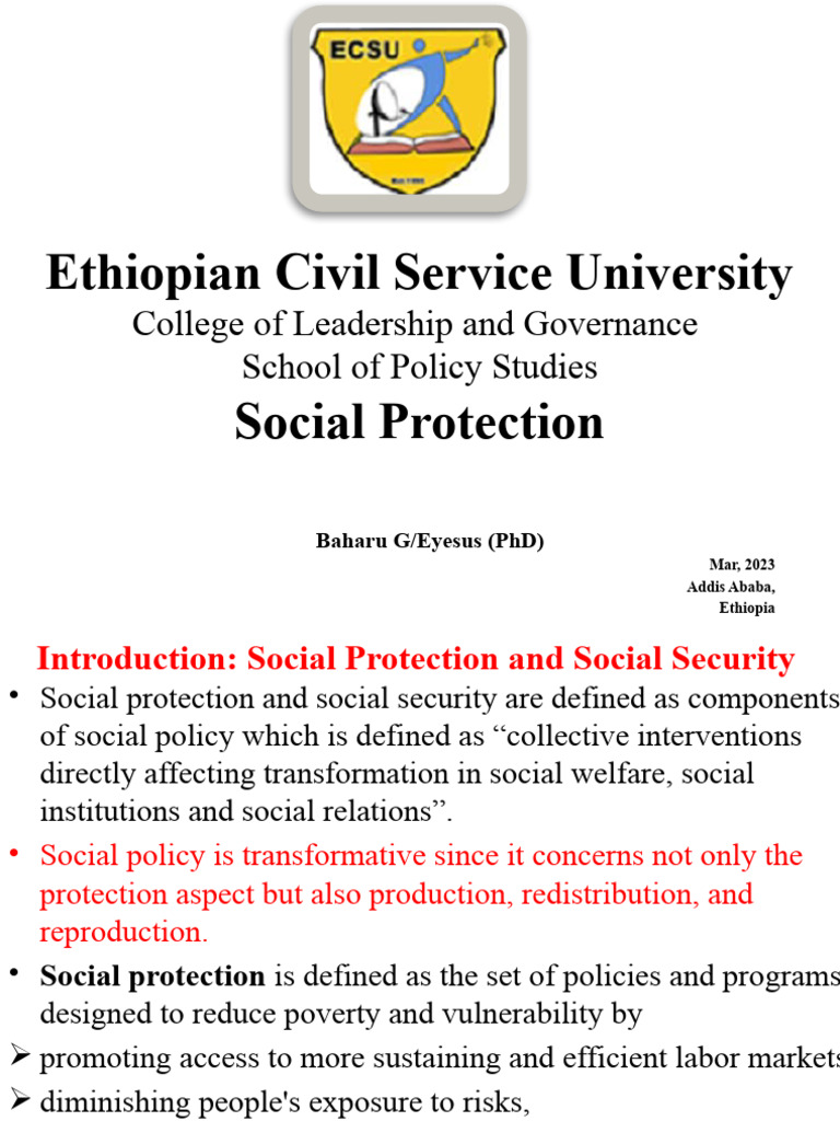 New Chap 4 Social Protection Interventions | Download Free PDF | Social Protection | Welfare