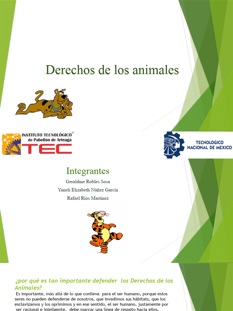 Derechos de Los Animales | PDF | Derechos animales
