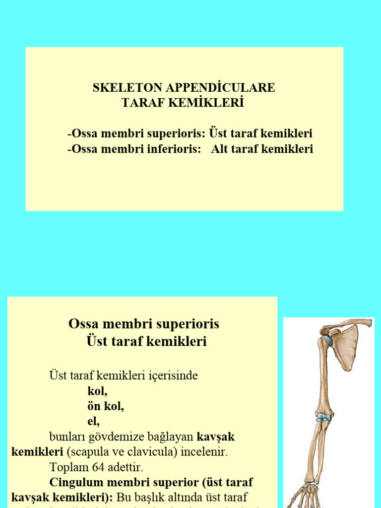 2-c Ost Ust Ext. | PDF
