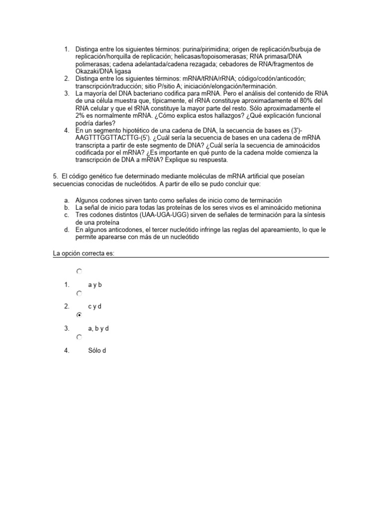 Taller Sobre ADN, ARN, Proteinas | PDF | Ciencia y matemáticas