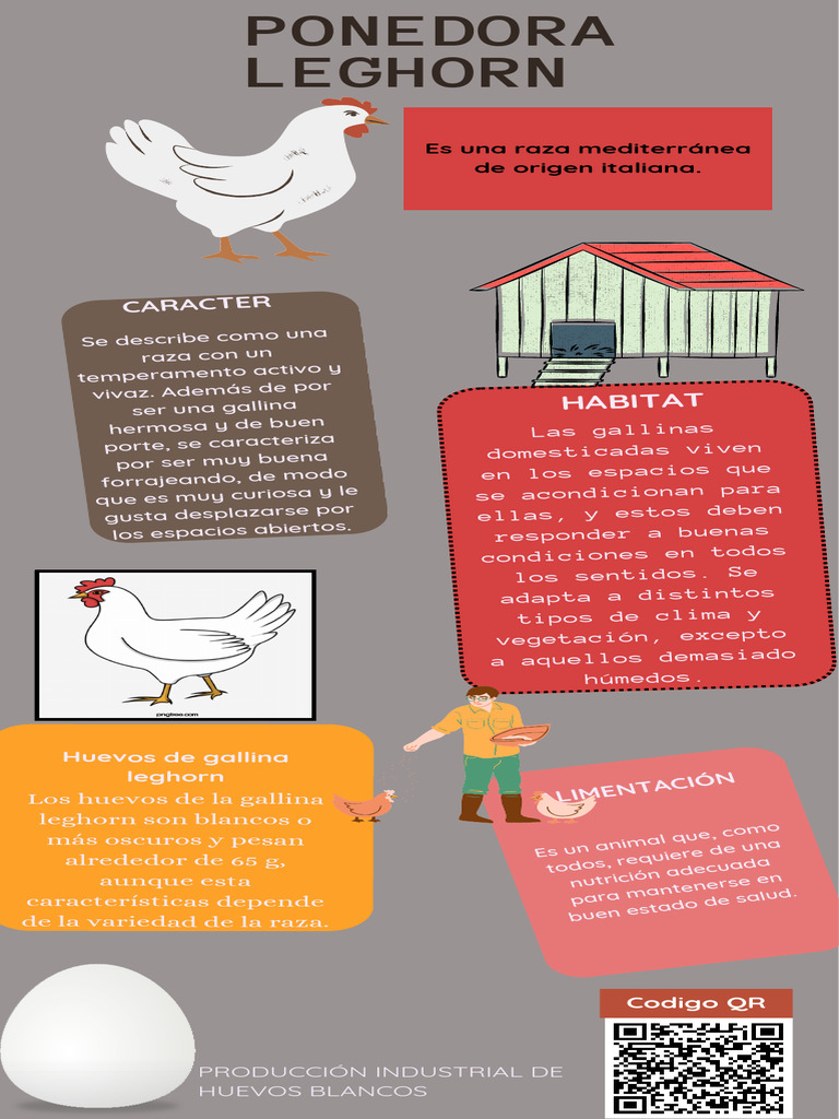 Infografía Animales Tipos de Aves Ilustrativo Colorido_20240503_154131 ...