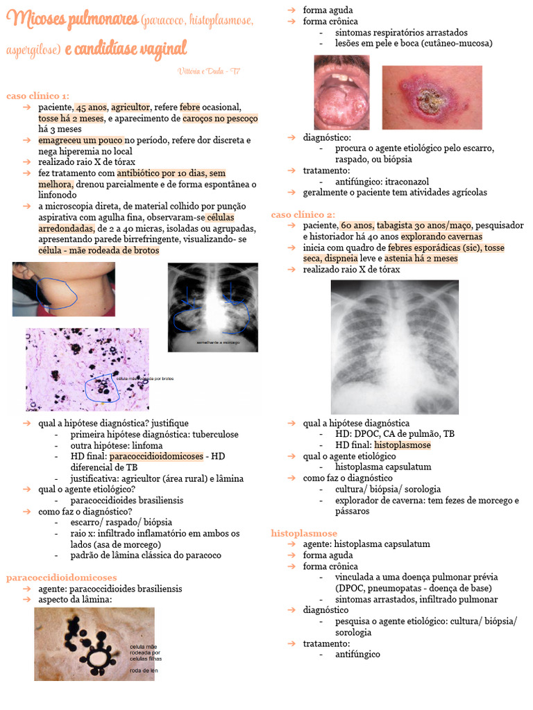 Patologia sp4 | PDF | Medicina Clínica | Ciências da Saúde