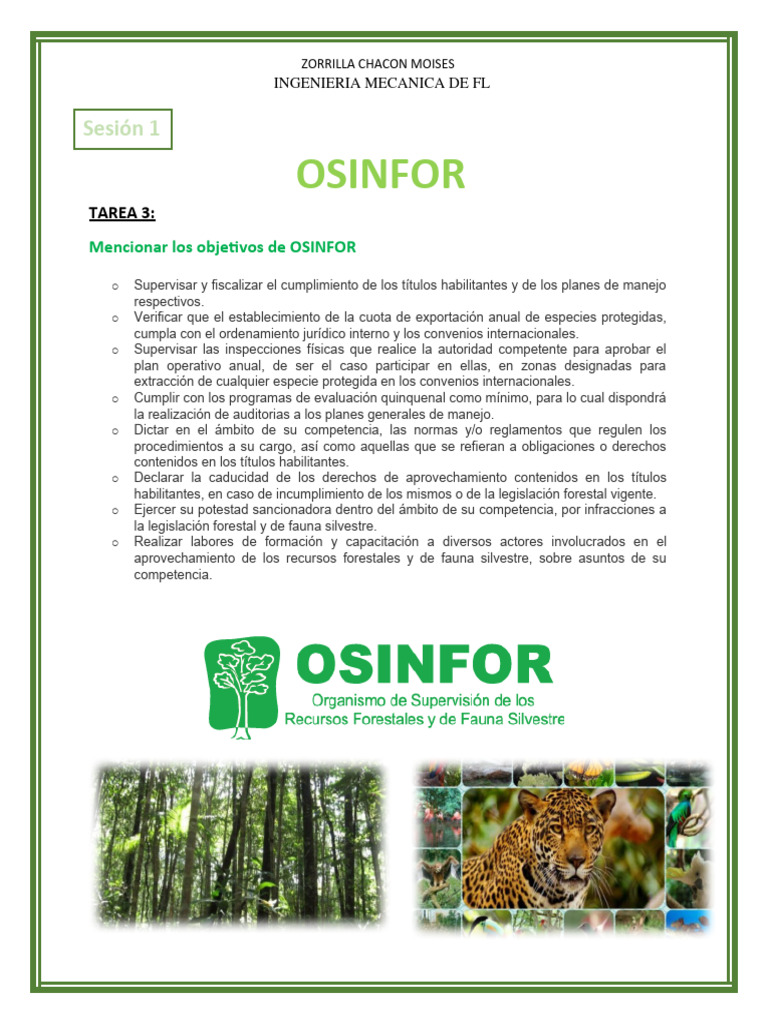 Tarea 3 4 | PDF | Justicia | Crimen y violencia