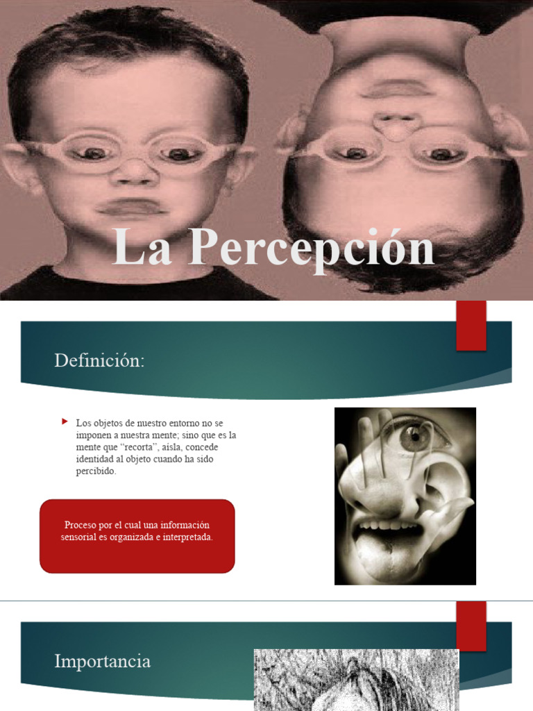 La Percepcion-1537284580 | Descargar gratis PDF | Percepción | Sentidos