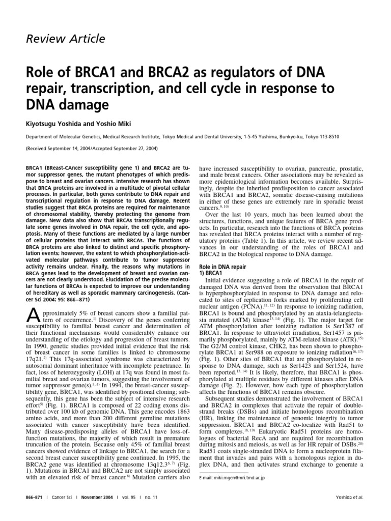 Cancer Science - 2005 - Yoshida - Role of BRCA1 and BRCA2 As Regulators of DNA Repair ...