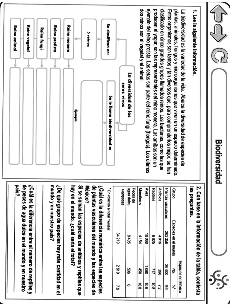 Tarea 06-02-24 | PDF