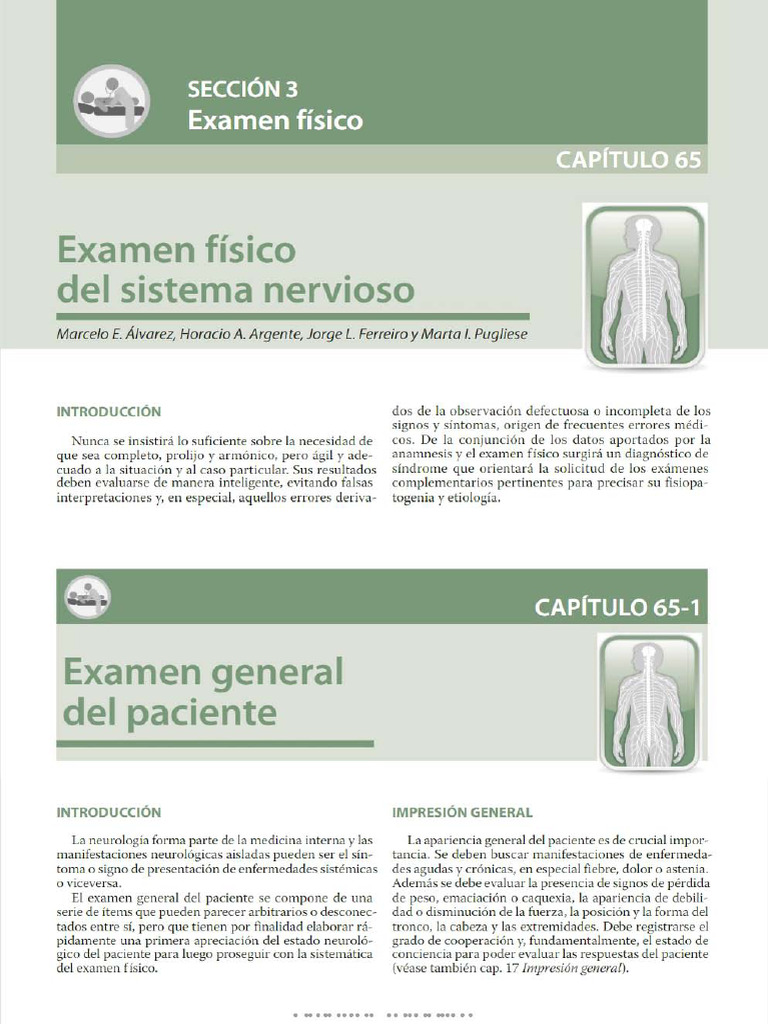 EF de sistema nervioso | PDF
