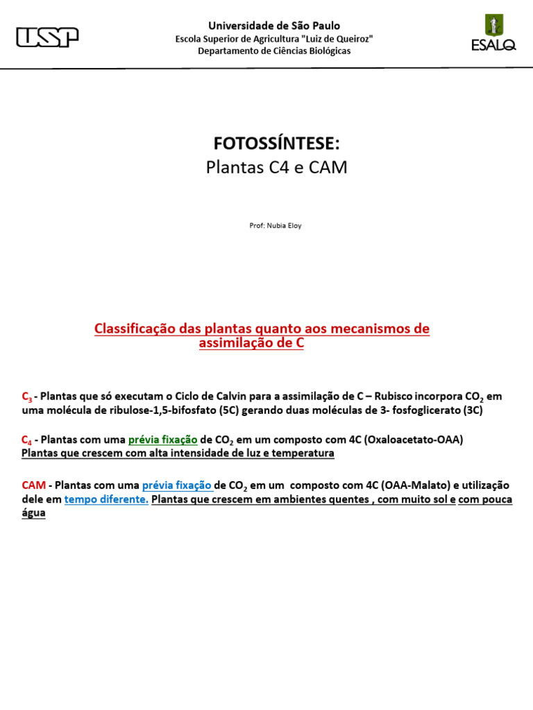 Plantas C3 e C4 | PDF | Metabolismo | Dióxido de carbono