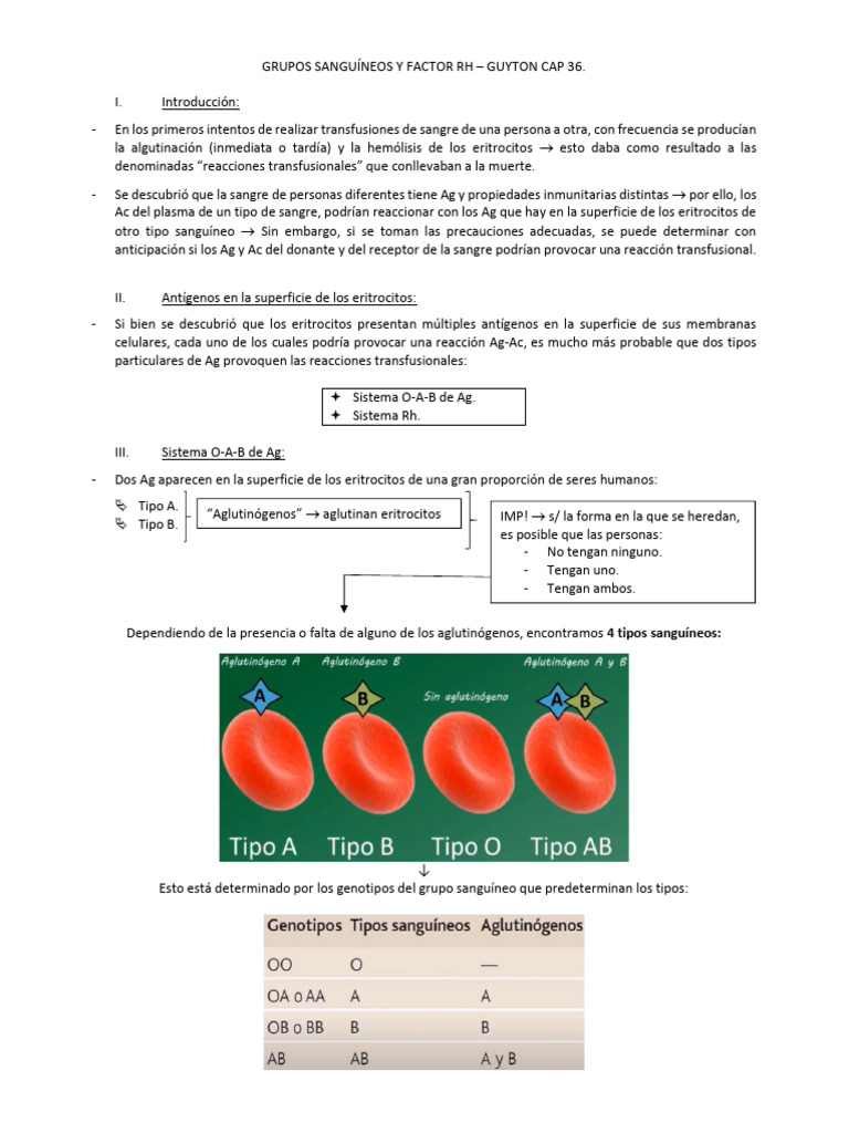 Grupos Sanguíneos y Factor Rh Explicados | PDF | Tipo de sangre | Sangre