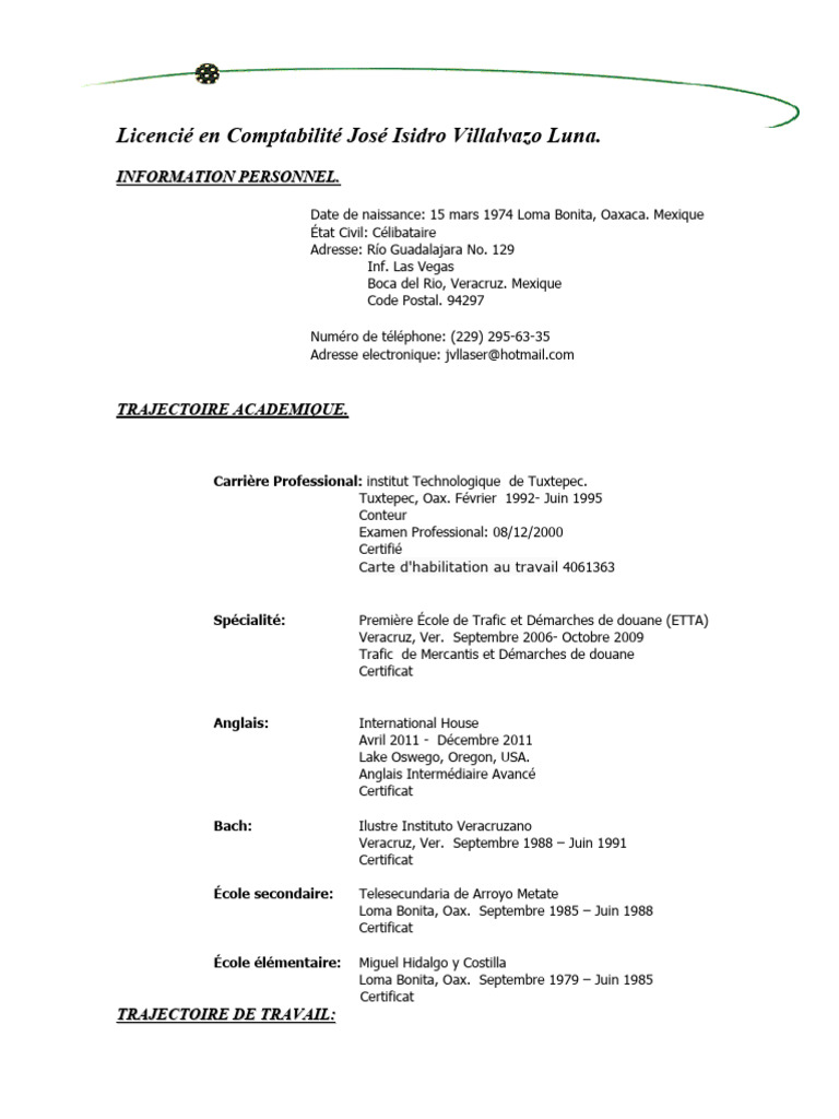 CV Jose | PDF | Contabilidad | Business