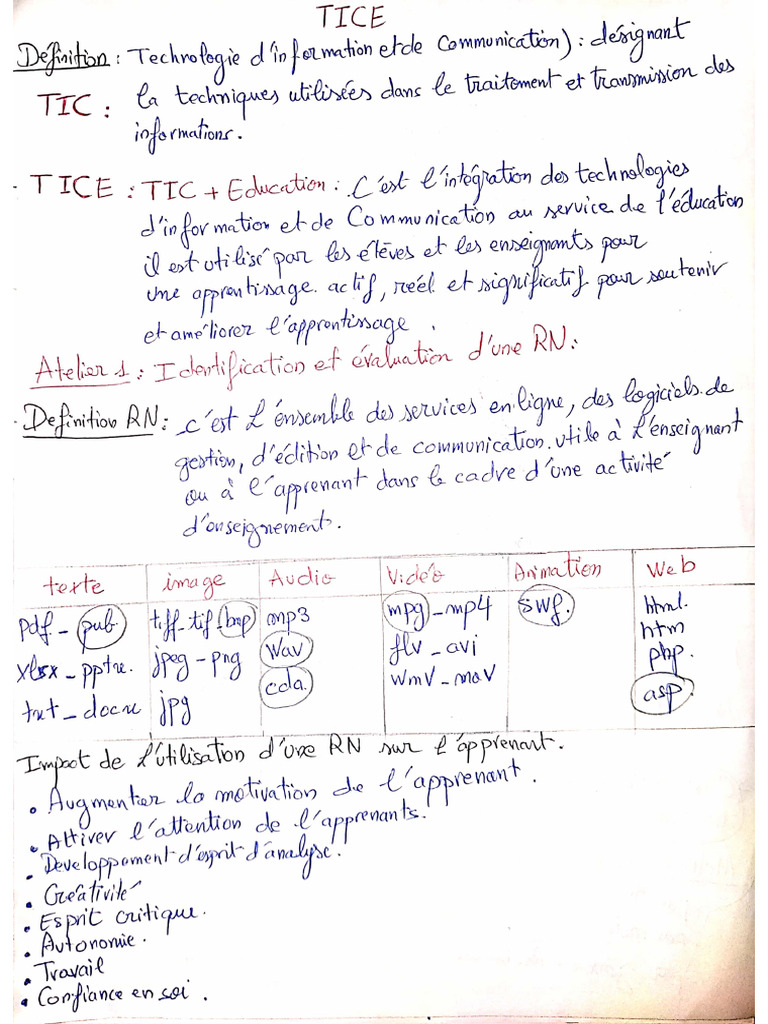 Résumé TICE | PDF