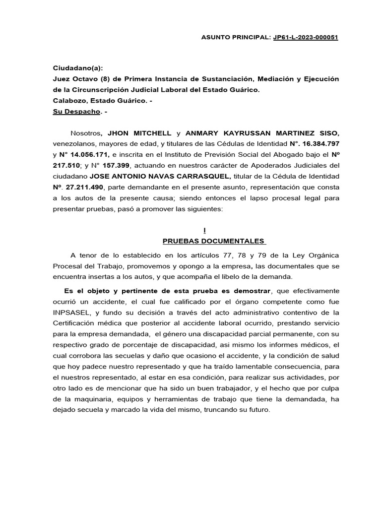 Escrito de Pruebas de Contruluz | PDF | Documento de identidad