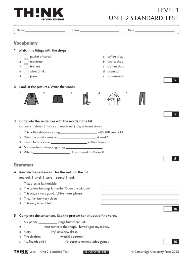 Vocabulary and Grammar Test Level 1 | PDF