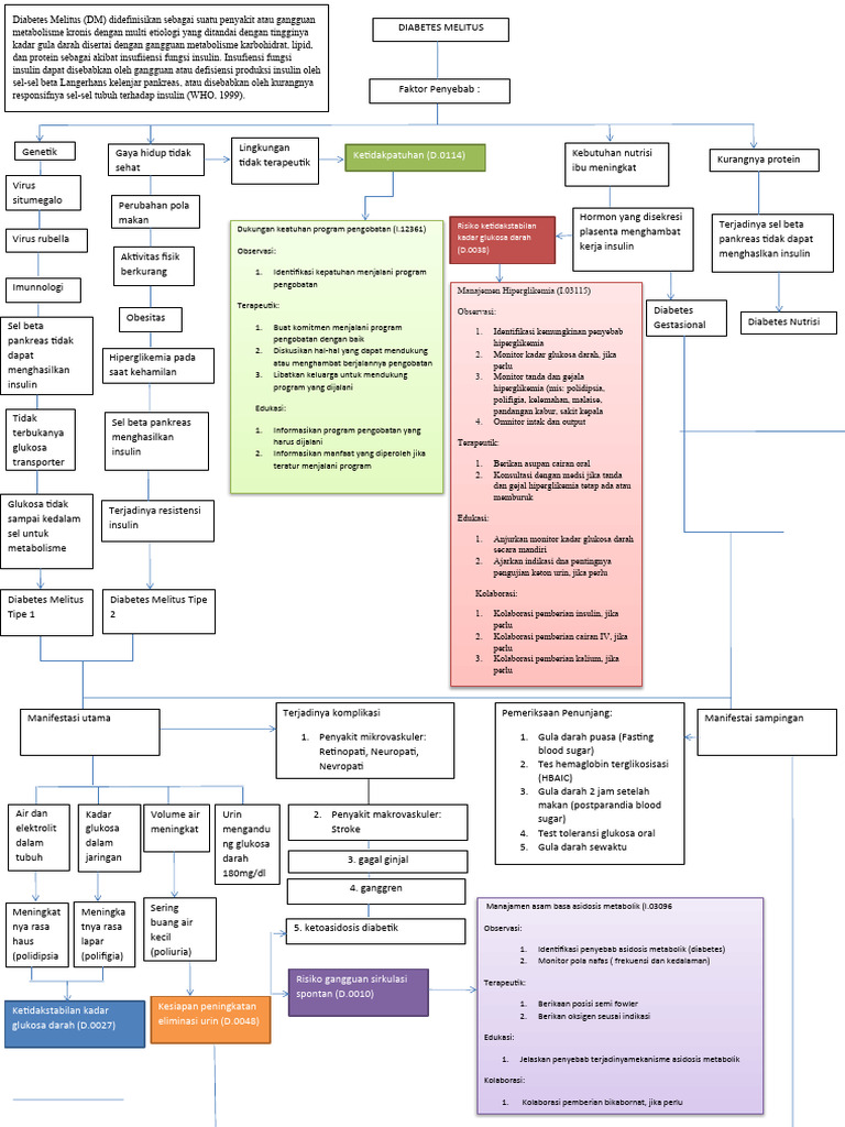 Kelompok 1 - WOC DM | PDF