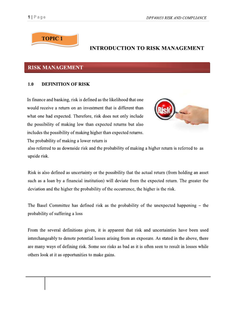 Risk Chapter 1 | PDF