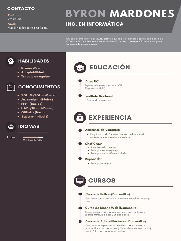 CV Byron Mardones | PDF | Php | Diseño web