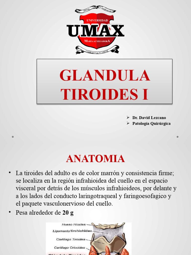 Anatomía y Fisiología de la Tiroides | PDF | Tiroides | Hipertiroidismo