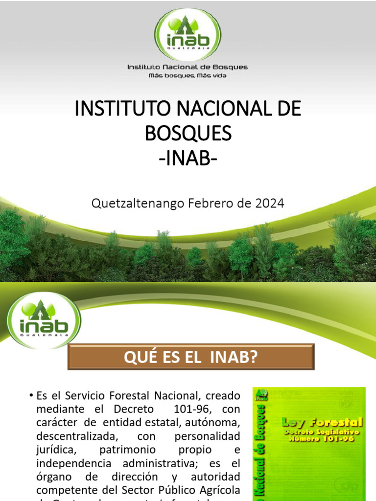 Programas de Incentivos Forestales 2024 | PDF | Los bosques | Gestión de bosques