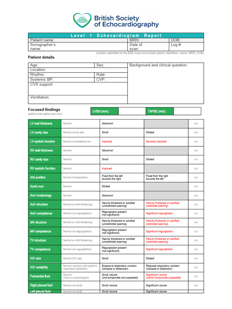 L1 Report Template | PDF | Heart | Medical Specialties