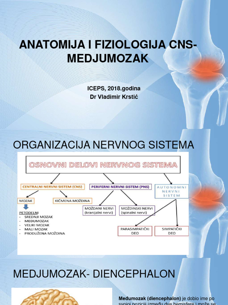 Anatomija-i-fiziologija-CNS-medjumozak | PDF