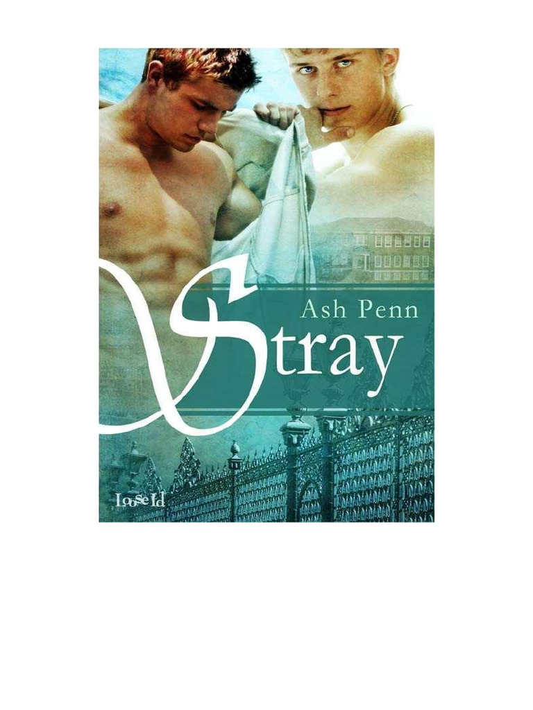 Stray | PDF