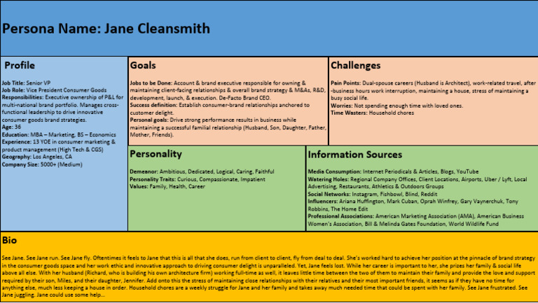 User Persona Example 1 | PDF | Brand | Marketing