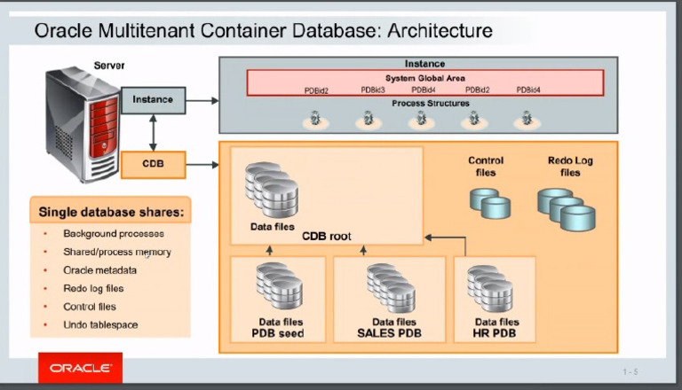 Oracle Container | PDF
