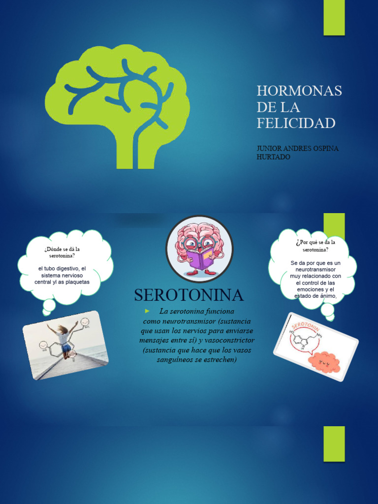 Hormonas de La Felicidad | PDF