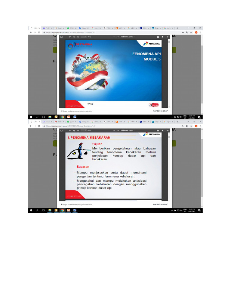Modul 6 Fenomena API | PDF