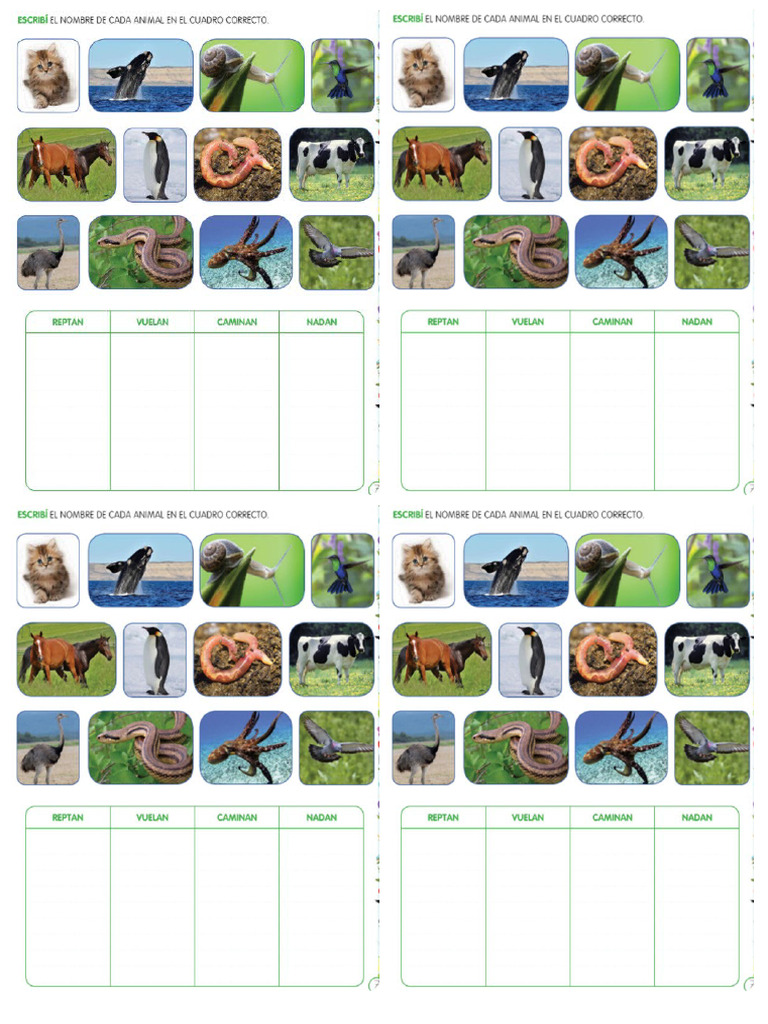 animales en su habitat 2B | PDF