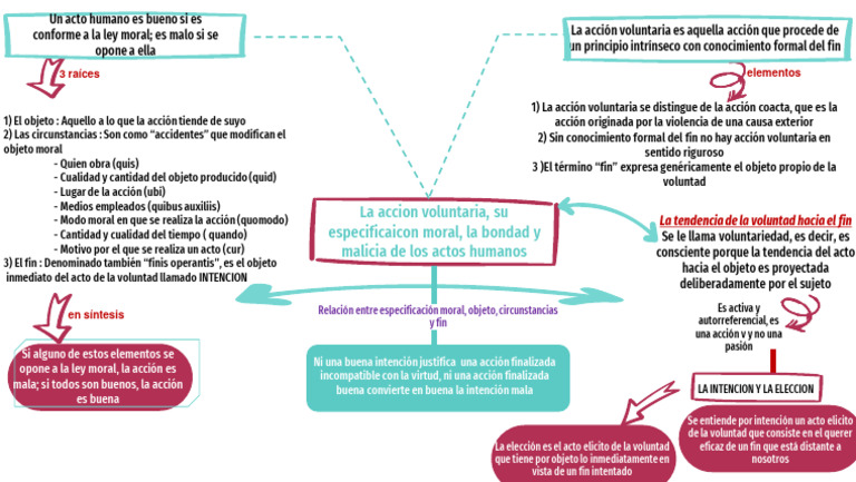 Organizador visual sobre especificacion moral, objeto, circunstancia y ...