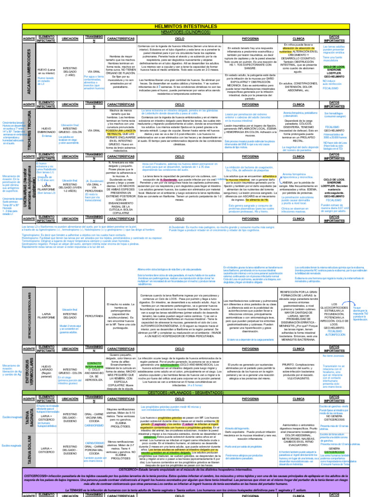 CUADRO PARÁSITOS Uba 2024 | PDF | Especialidades Medicas