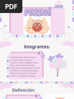 Tabla de Músculos Del Suelo Pélvico (Periné) | PDF | Pelvis | Anatomía ...