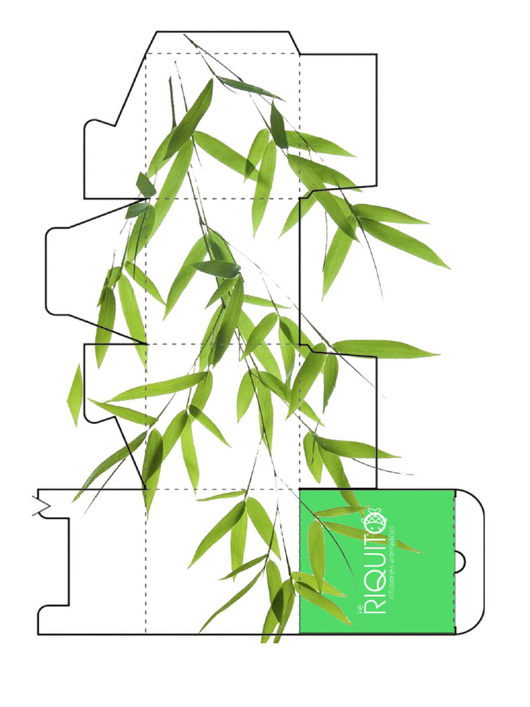 PACKAGING | PDF
